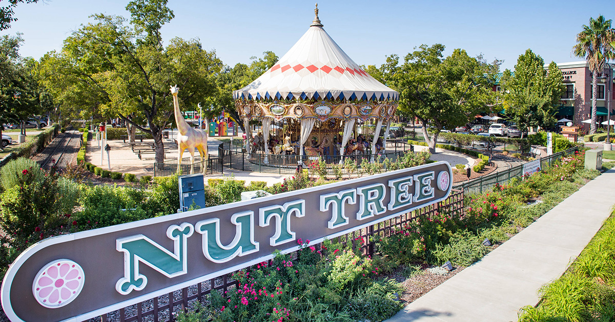 Nut Tree
